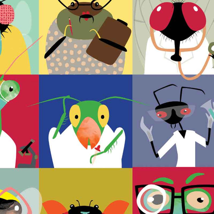 NATURAL WORLD T SHIRTS – Mount Vic and Me