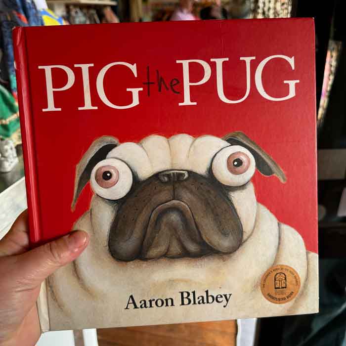 Pig the Pug – Mount Vic and Me