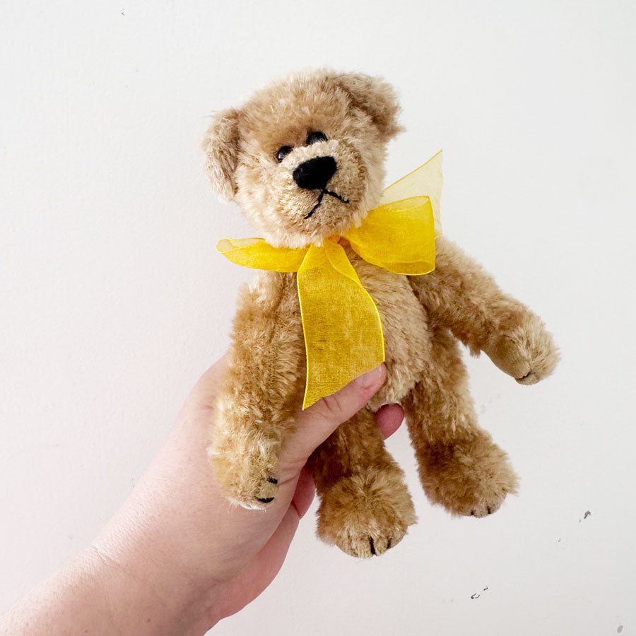 Teddy and Friends little bear – Mount Vic and Me